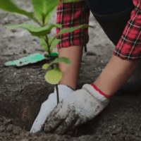 What is an LMS? Learning management systems (explained) | CYPHER